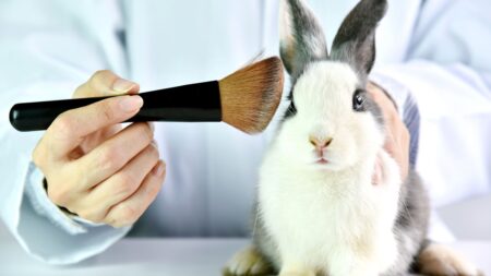 China's Animal Testing Laws (2023) - Clean & Cruelty-Free